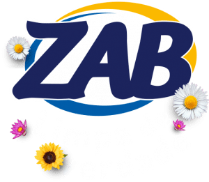 Arquivo Produtos | ZAB